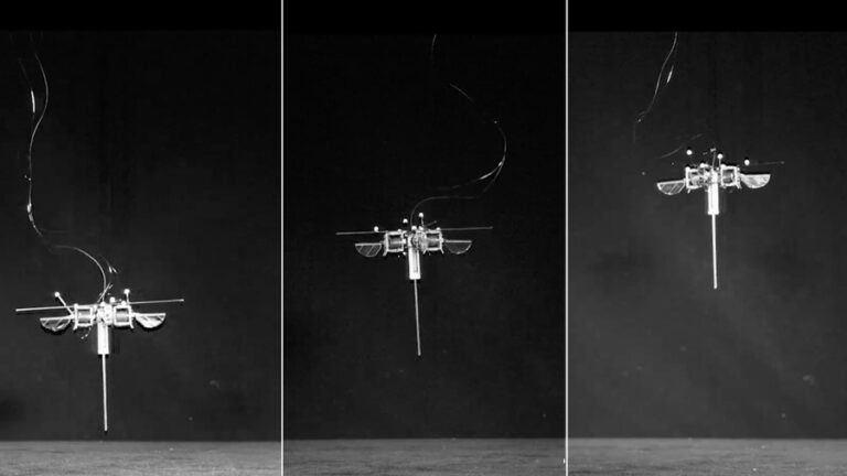 Hopping gives this tiny robot a leg up – MIT EECS